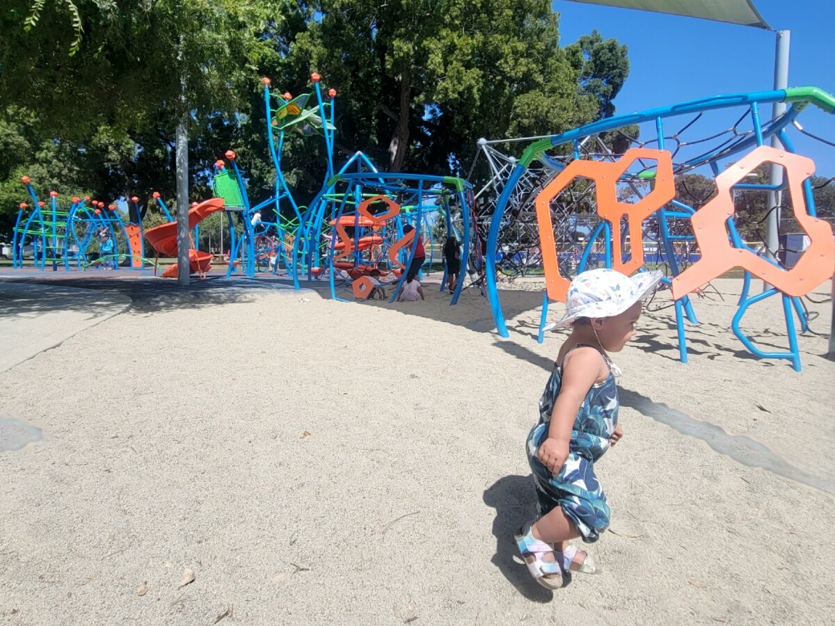 Whaley Park - Scout's Joy