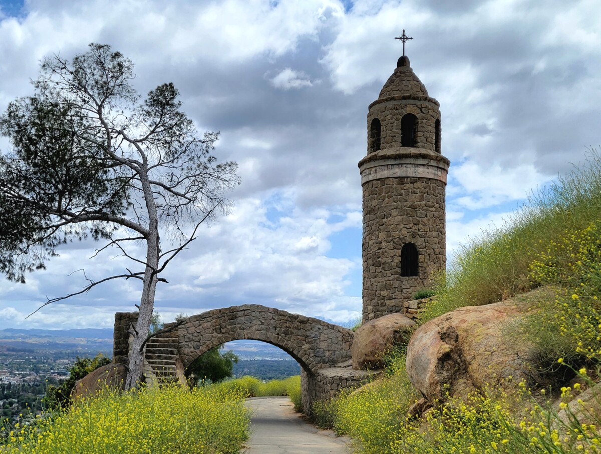 Mt. Rubidoux - Scout's Joy