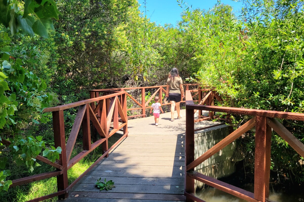 Turtle Rock Nature Center and Community Park - Scout's Joy