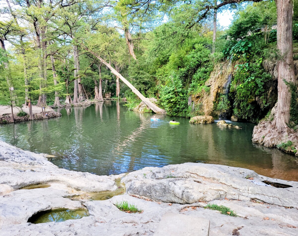 Krause Springs - Scout's Joy