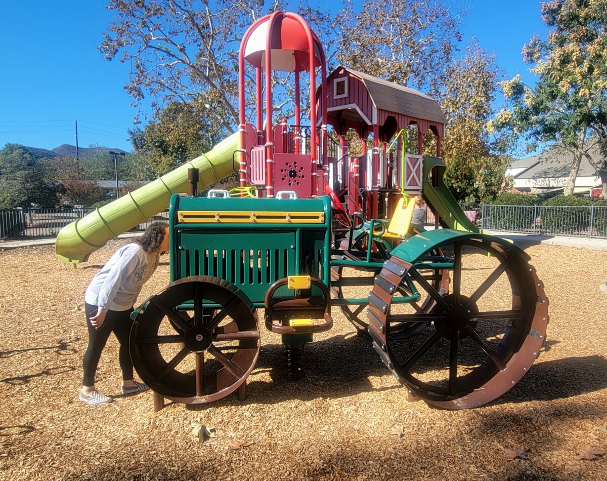 Borchard Community Park - Scout's Joy