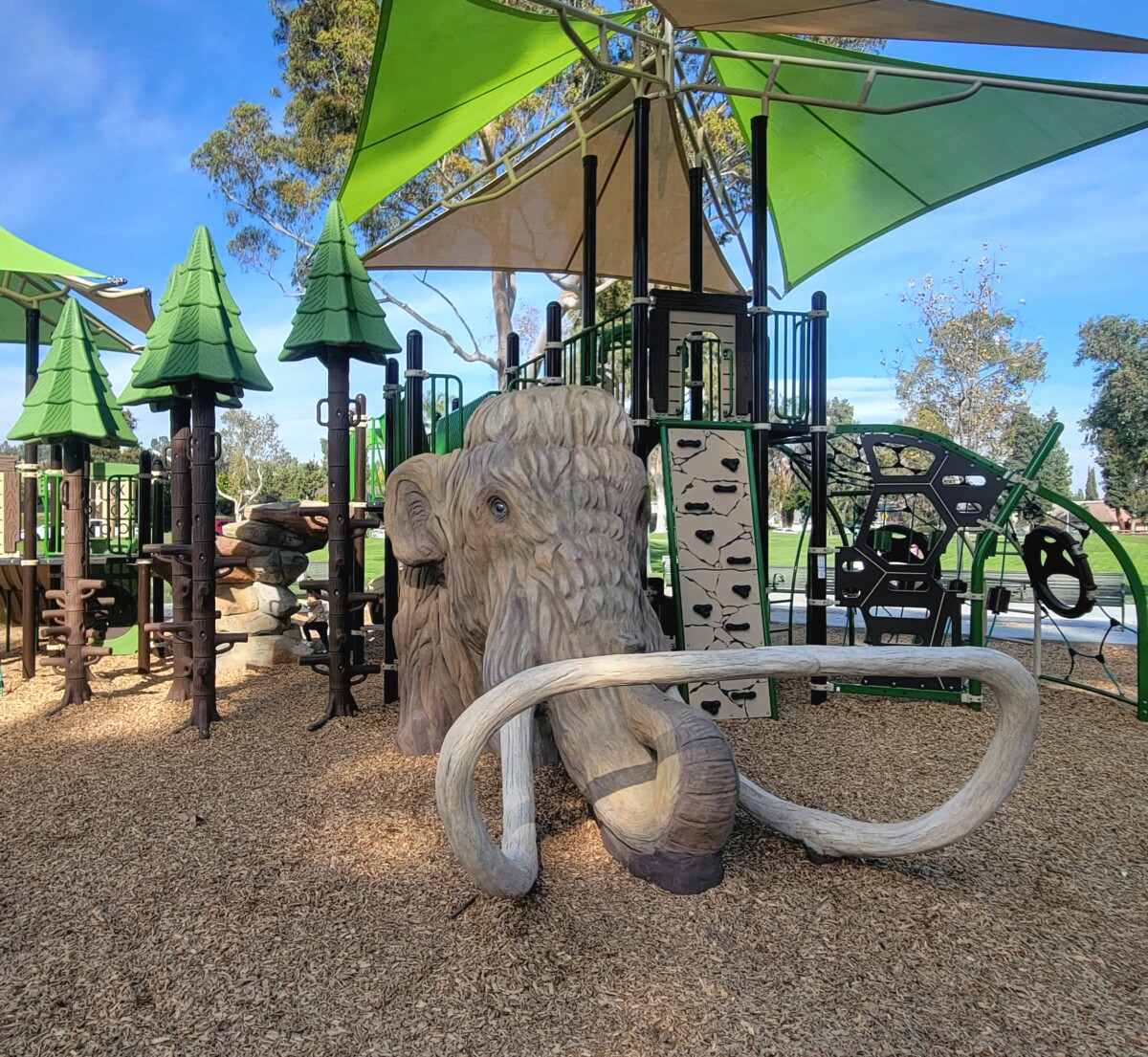 Acacia Park - Scout's Joy